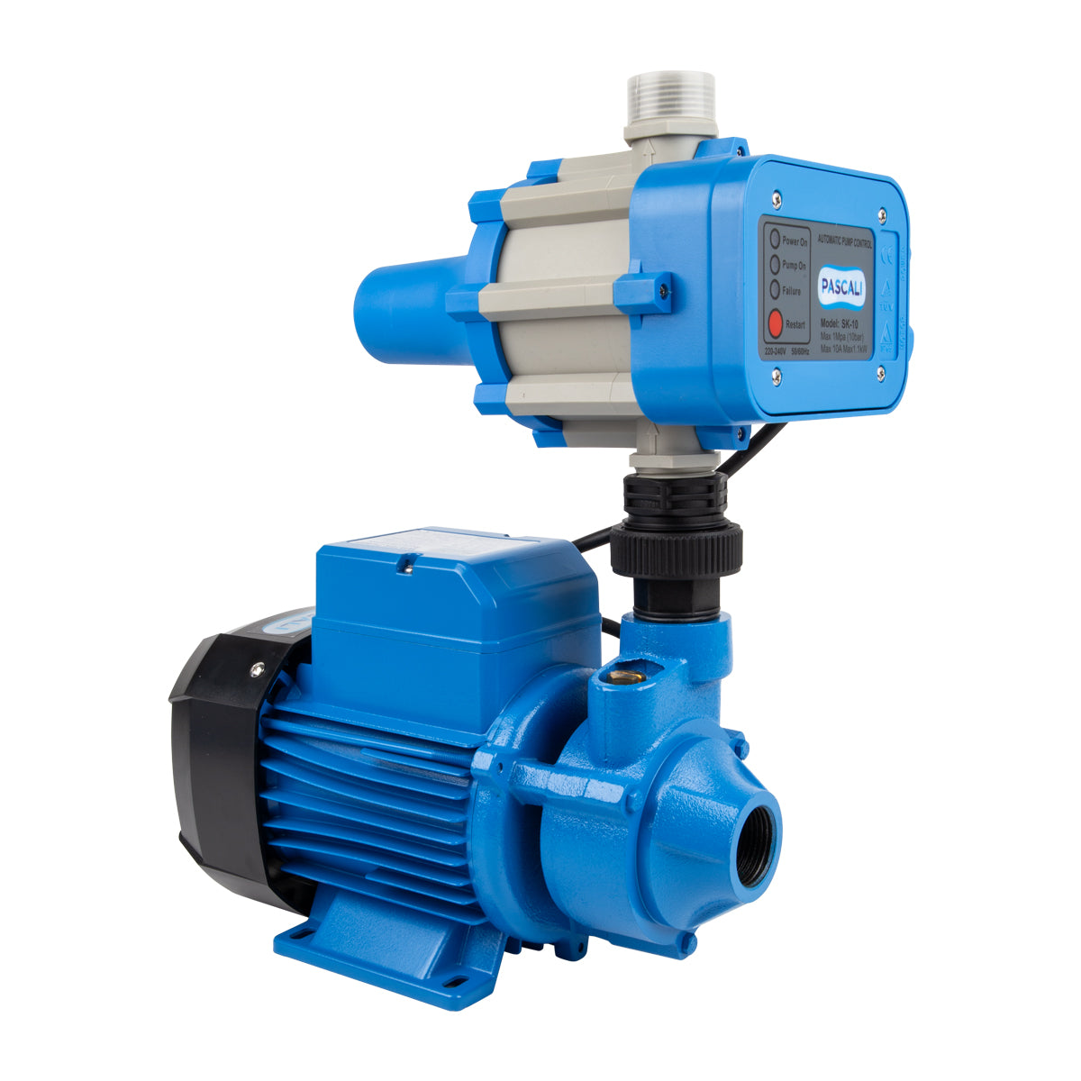Pascali 0.75kW Peripheral Pump with Flow Switch | Zisabo